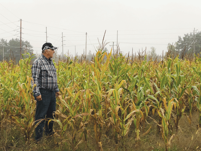 Poor harvest for area farmers | News, Sports, Jobs - Daily Press